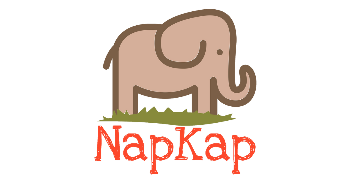 Premium Baby and Toddler Store – NapKap